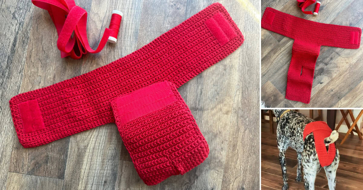 Female Dog Diaper for Dogs in Heat: Free Crochet Pattern