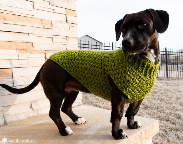 Luludialogue Free Chunky Dog Coat Knitting Pattern Pin On Dog 