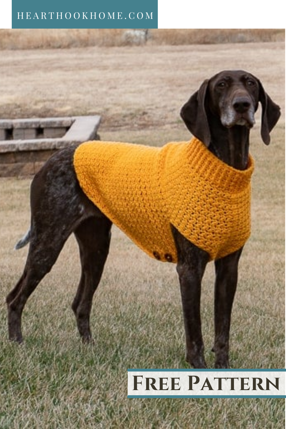 Easy Crochet Dog Sweater for Large, X Large, and XX Large Dogs