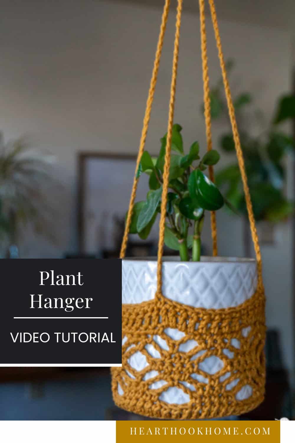 Free Crochet Plant Hanger Pattern (+ Video Tutorial) - Heart Hook Home