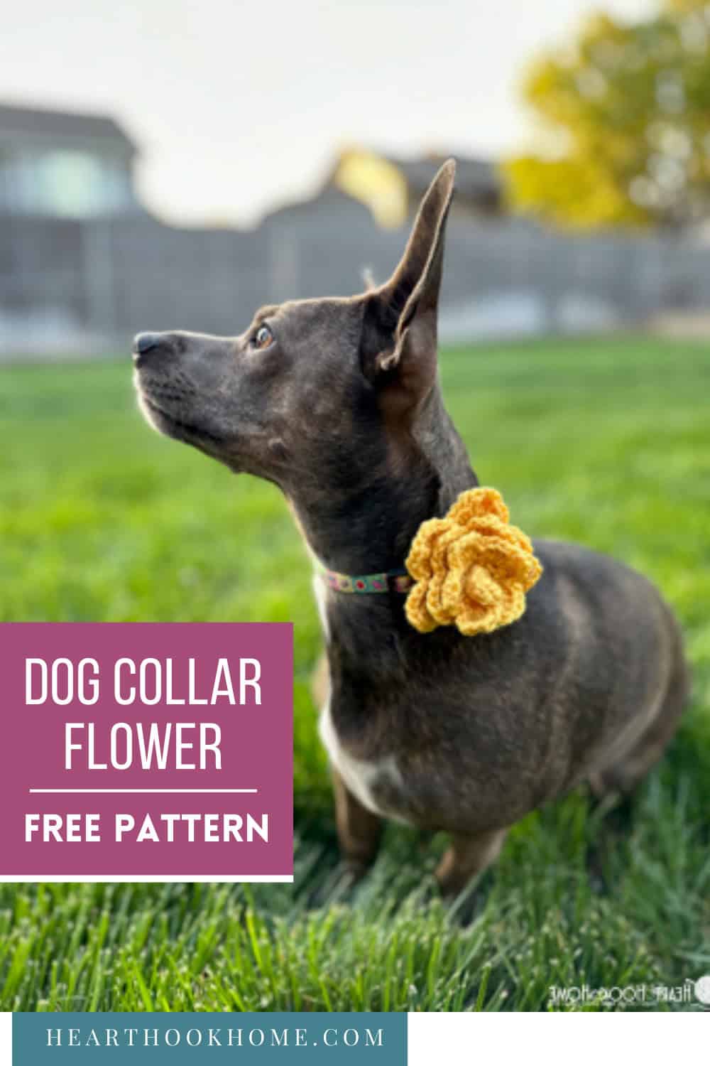 Dog Collar Embellishment Free Crochet Patterns - Heart Hook Home