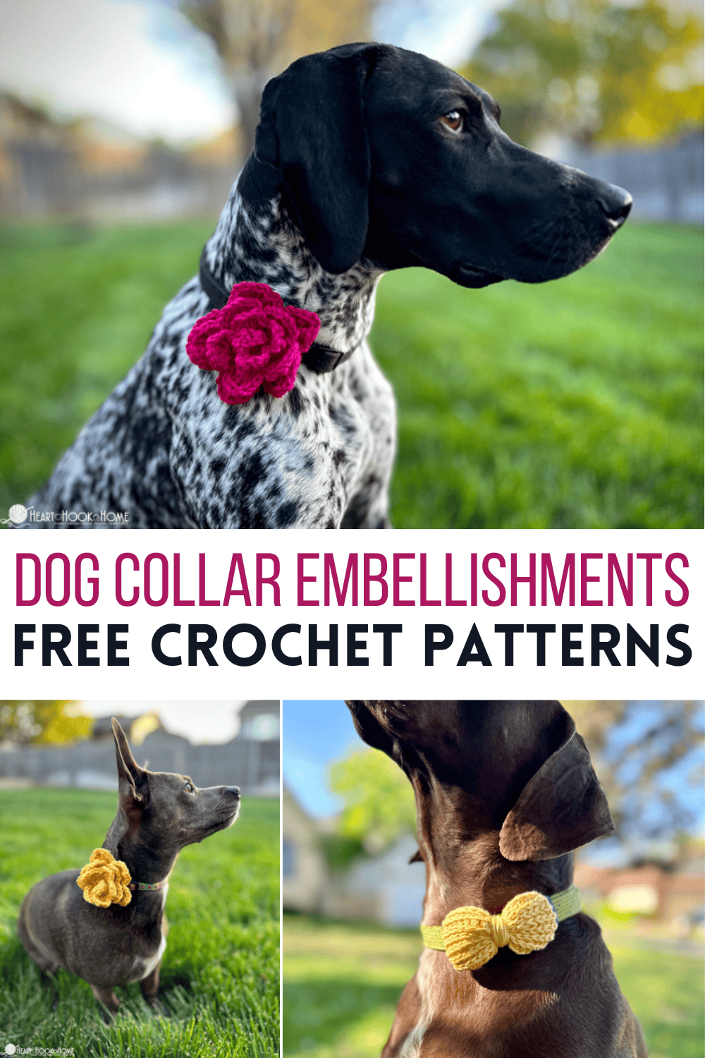 Dog Collar Embellishment Free Crochet Patterns - Heart Hook Home