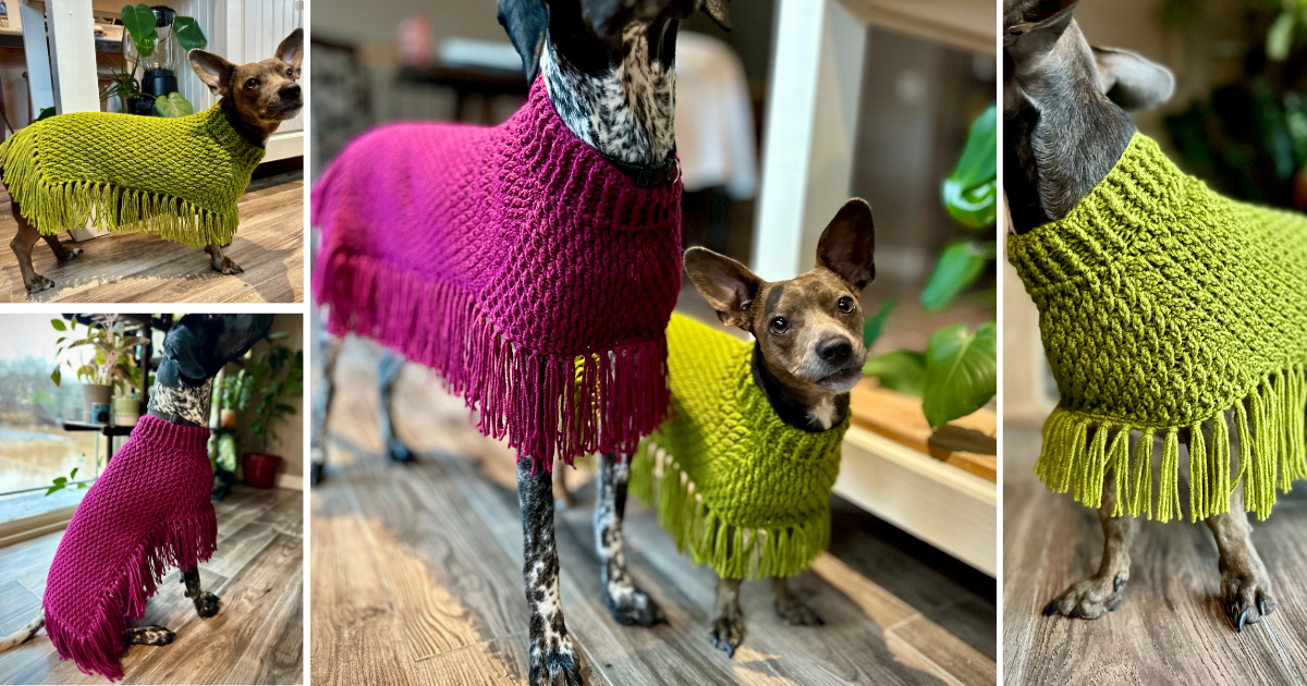 Easy Dog Poncho Crochet Pattern - Heart Hook Home