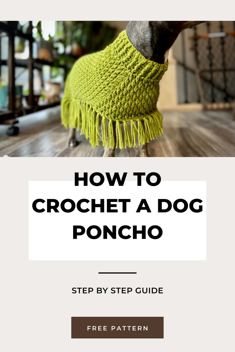 Easy Dog Poncho Crochet Pattern - Heart Hook Home