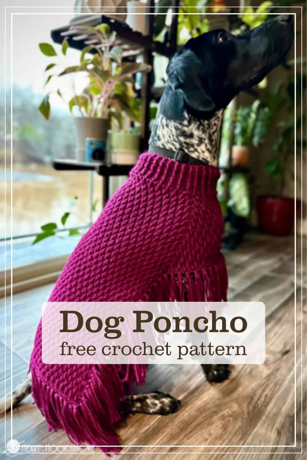 Easy Dog Poncho Crochet Pattern - Heart Hook Home