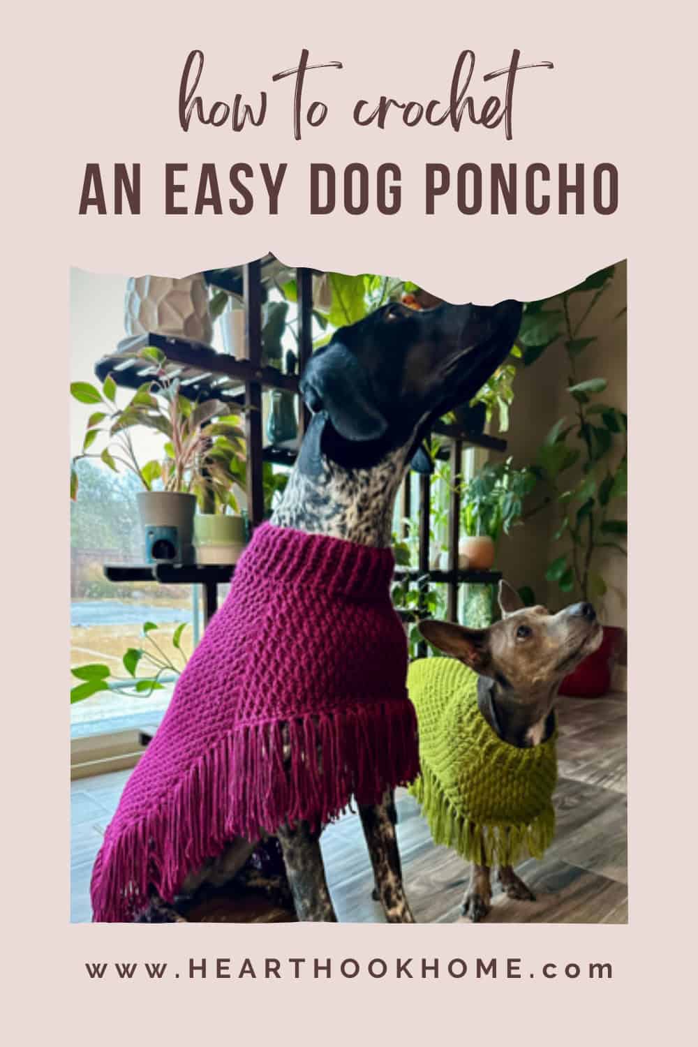 Easy Dog Poncho Crochet Pattern - Heart Hook Home