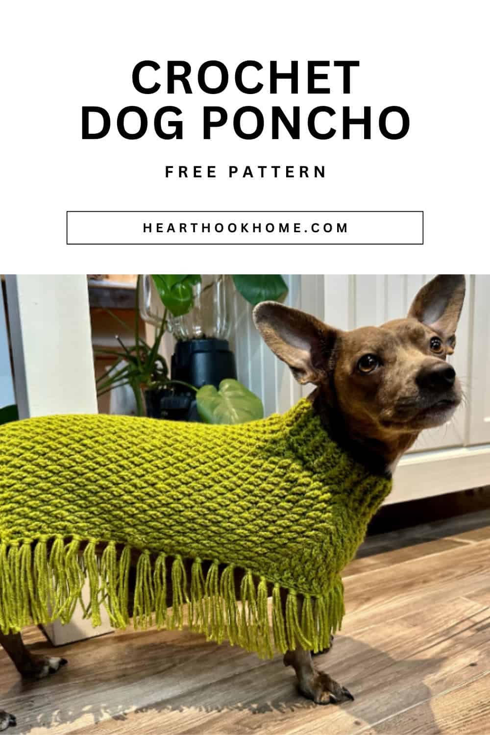 Easy Dog Poncho Crochet Pattern - Heart Hook Home