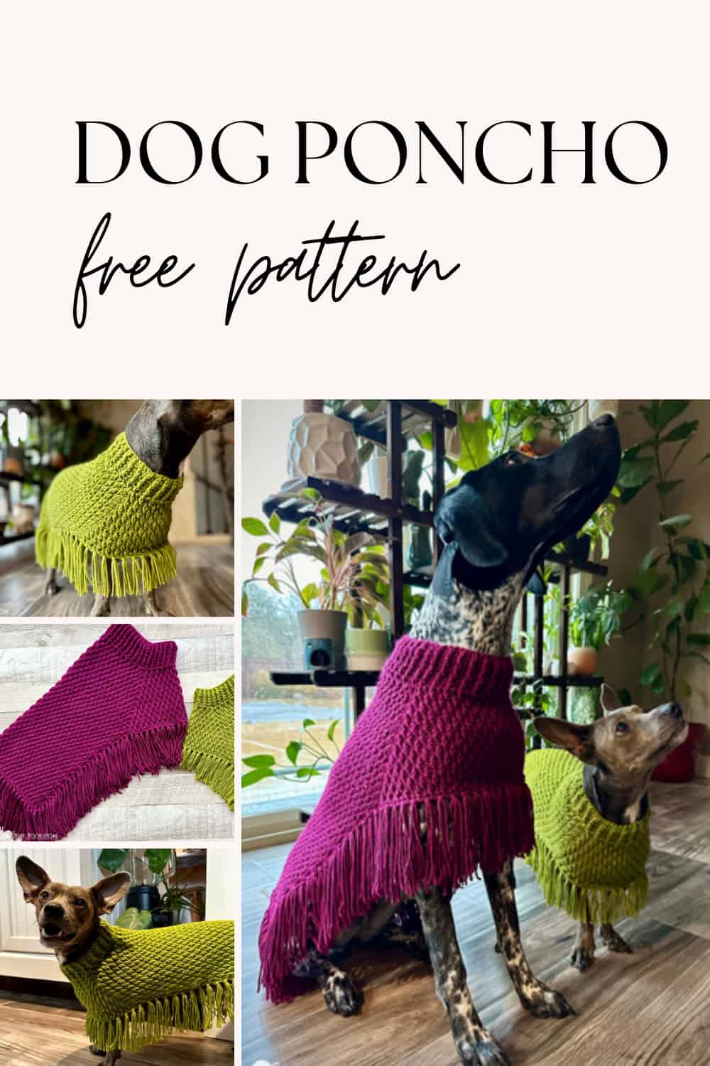 Easy Dog Poncho Crochet Pattern - Heart Hook Home
