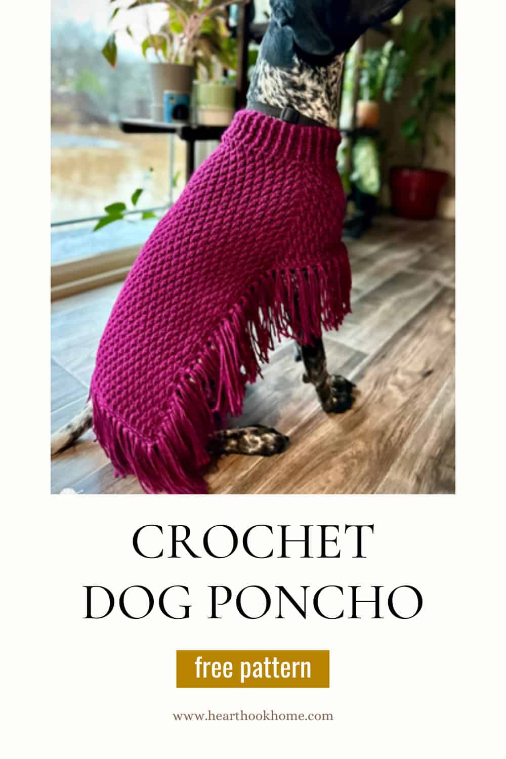 Easy Dog Poncho Crochet Pattern - Heart Hook Home