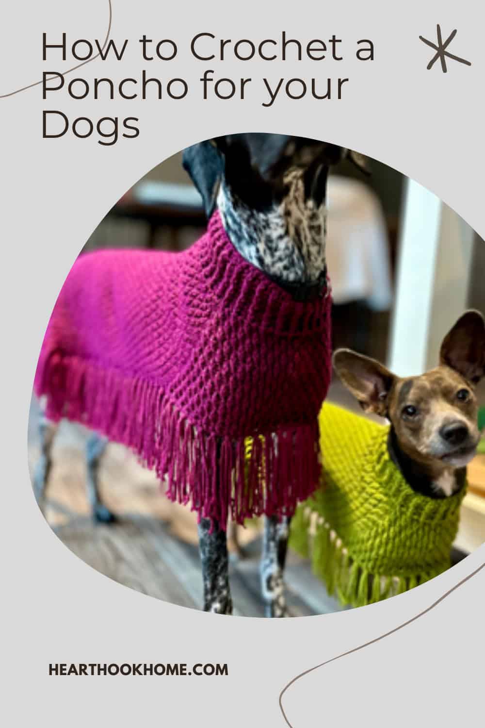 Easy Dog Poncho Crochet Pattern - Heart Hook Home
