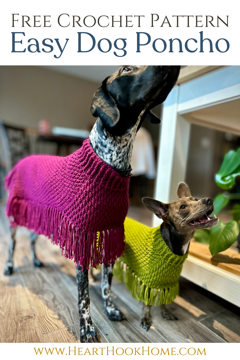 Easy Dog Poncho Crochet Pattern - Heart Hook Home