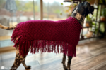 Easy Dog Poncho Crochet Pattern - Heart Hook Home