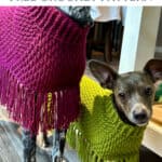 Easy Dog Poncho Crochet Pattern - Heart Hook Home