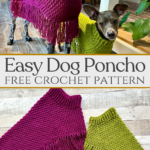 Easy Dog Poncho Crochet Pattern - Heart Hook Home