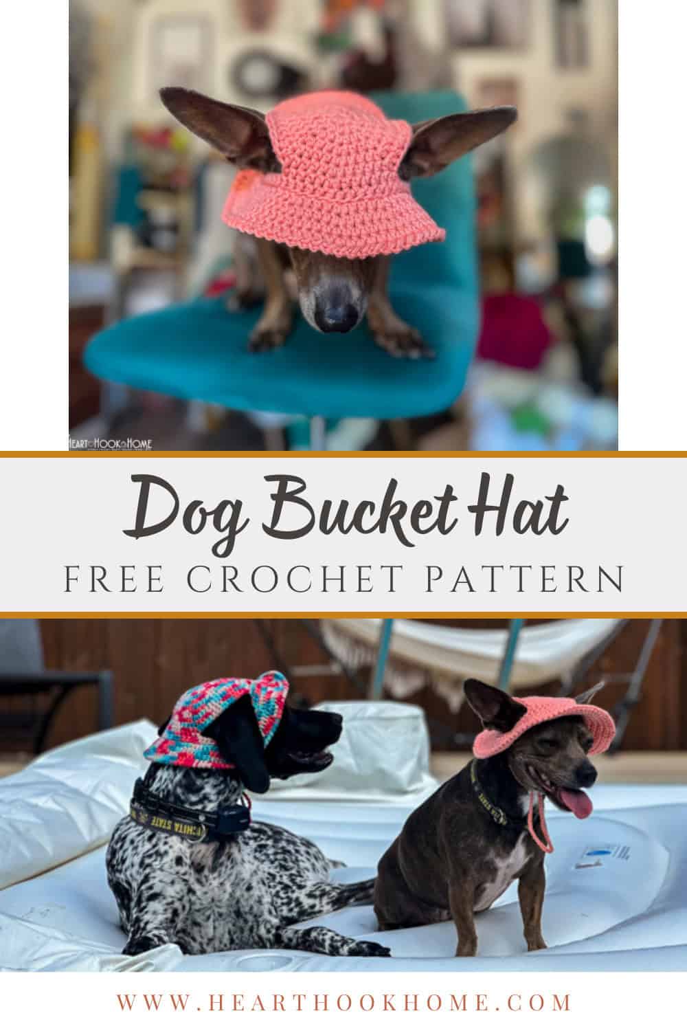 Dog Bucket Hat Free Crochet Pattern - Heart Hook Home