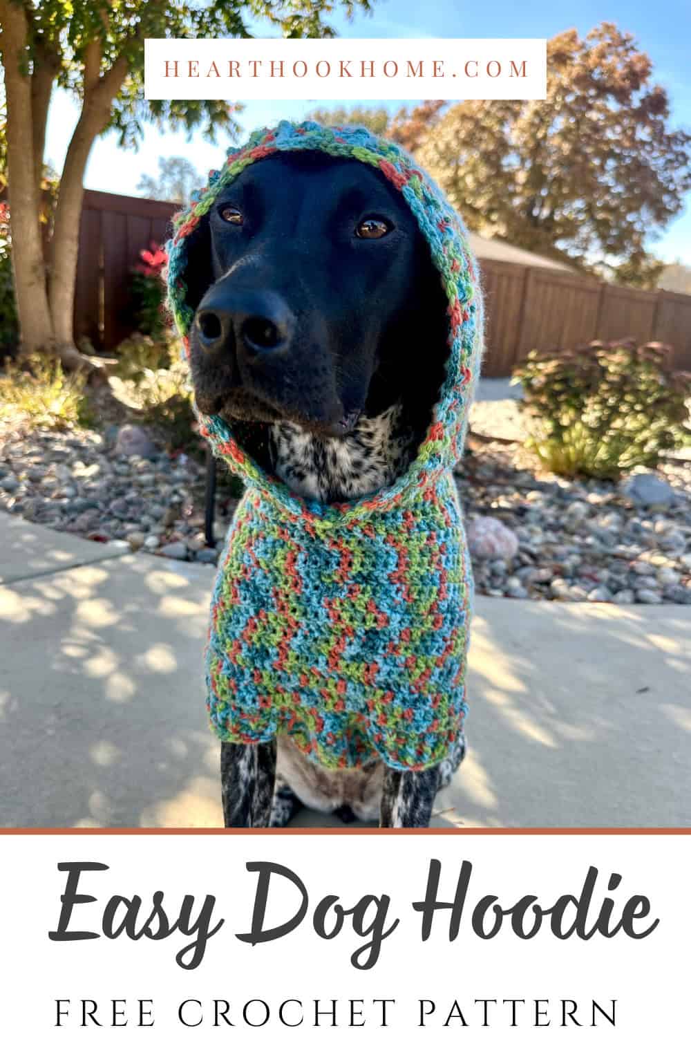 Easy Dog Hoodie Crochet Pattern - Heart Hook Home