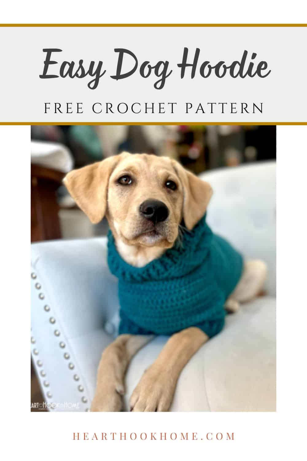 Easy Dog Hoodie Crochet Pattern - Heart Hook Home