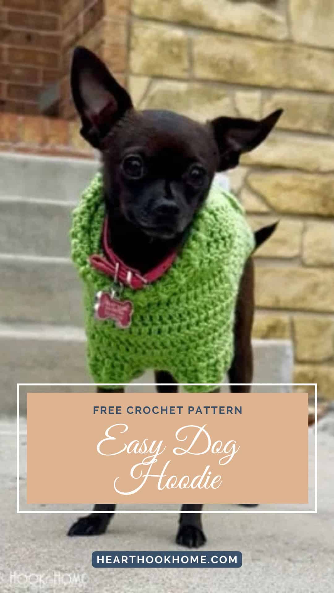 Easy Dog Hoodie Crochet Pattern - Heart Hook Home