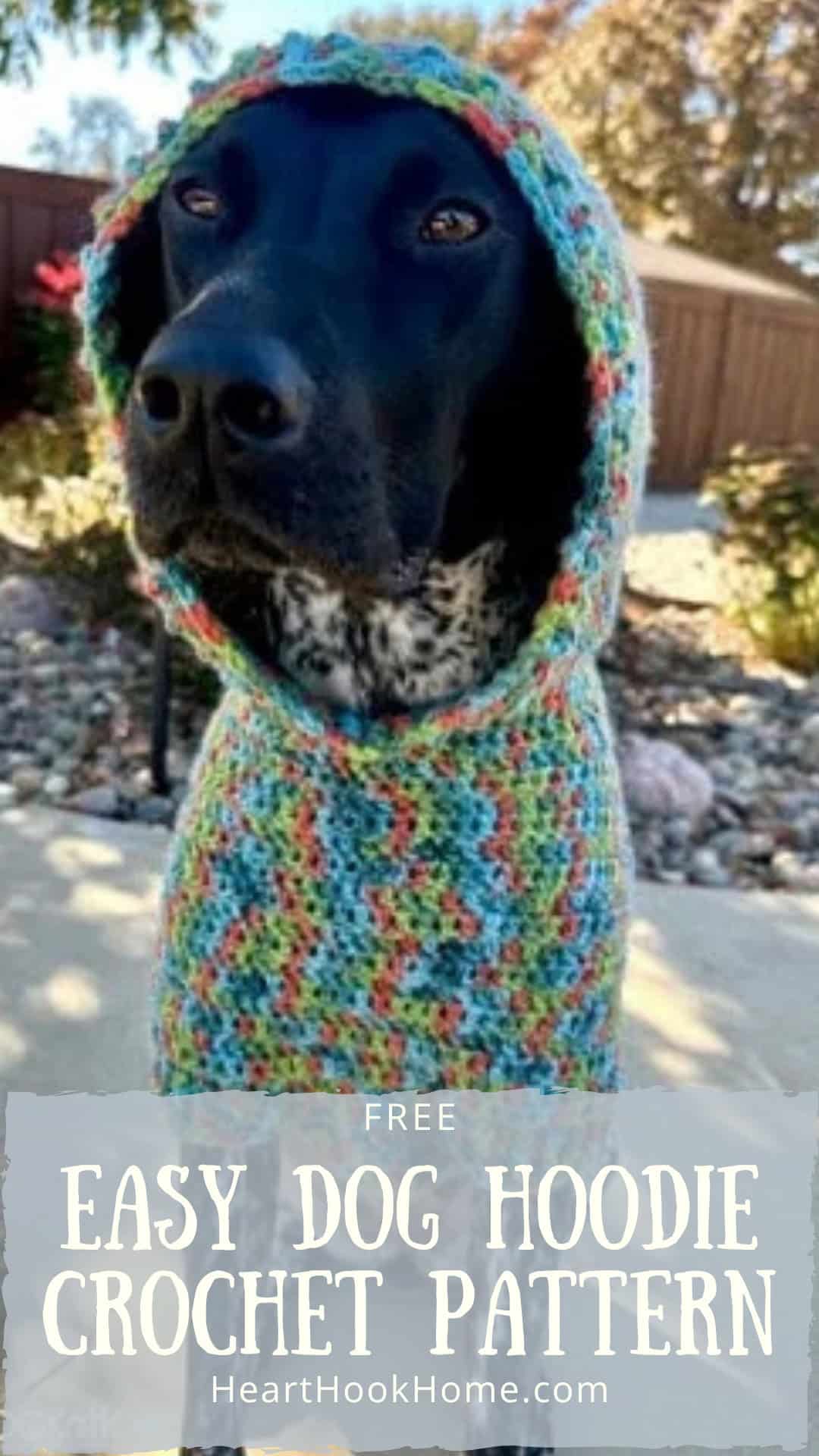 Easy Dog Hoodie Crochet Pattern - Heart Hook Home