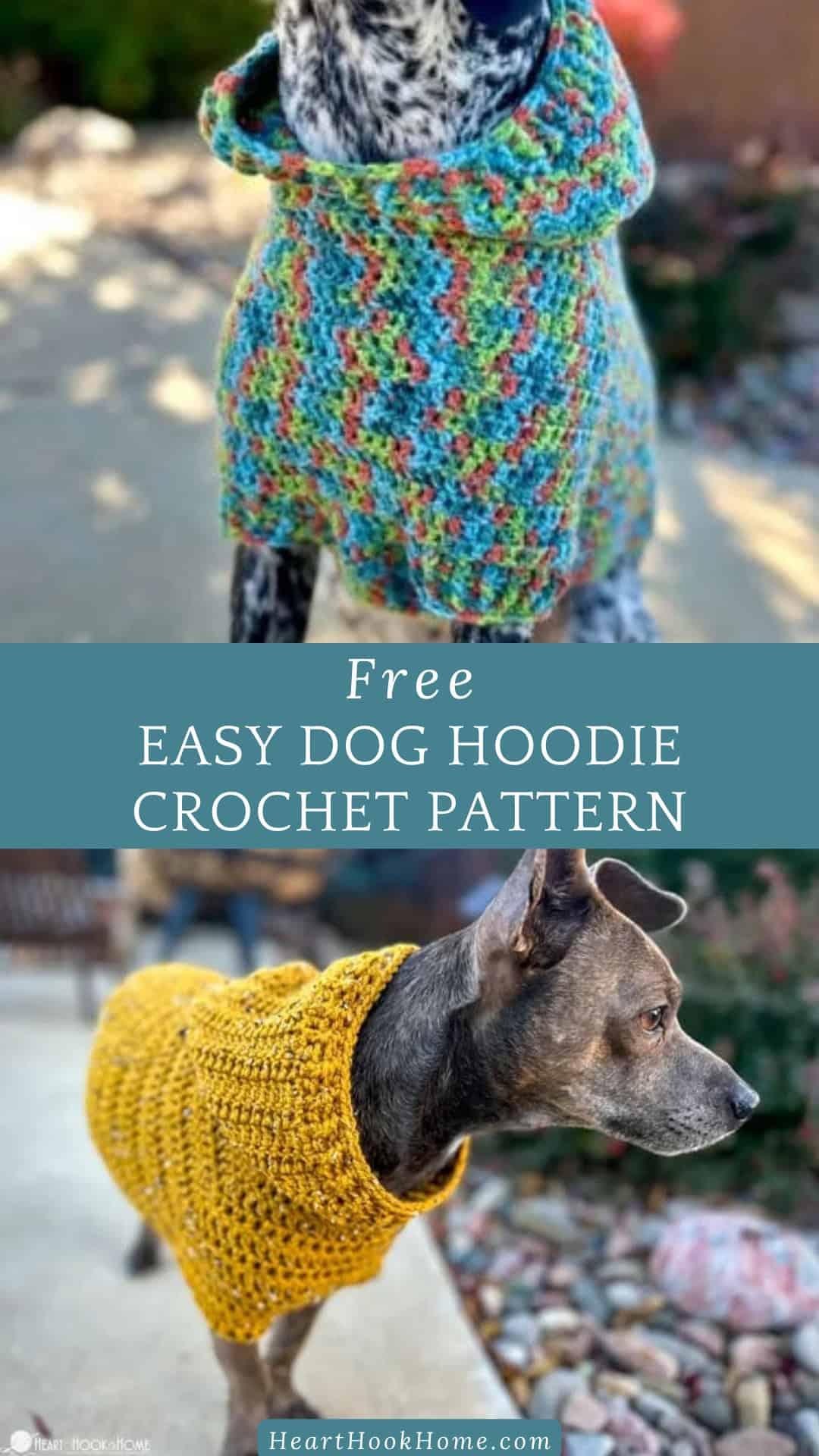 Easy Dog Hoodie Crochet Pattern - Heart Hook Home