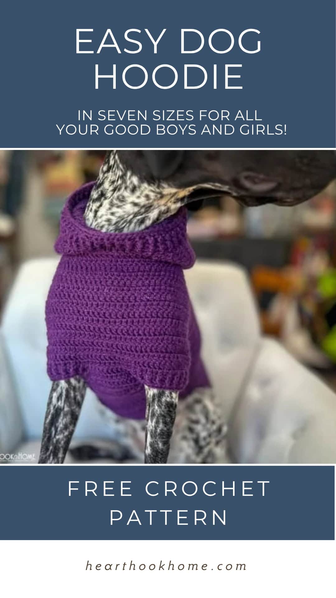 Easy Dog Hoodie Crochet Pattern - Heart Hook Home