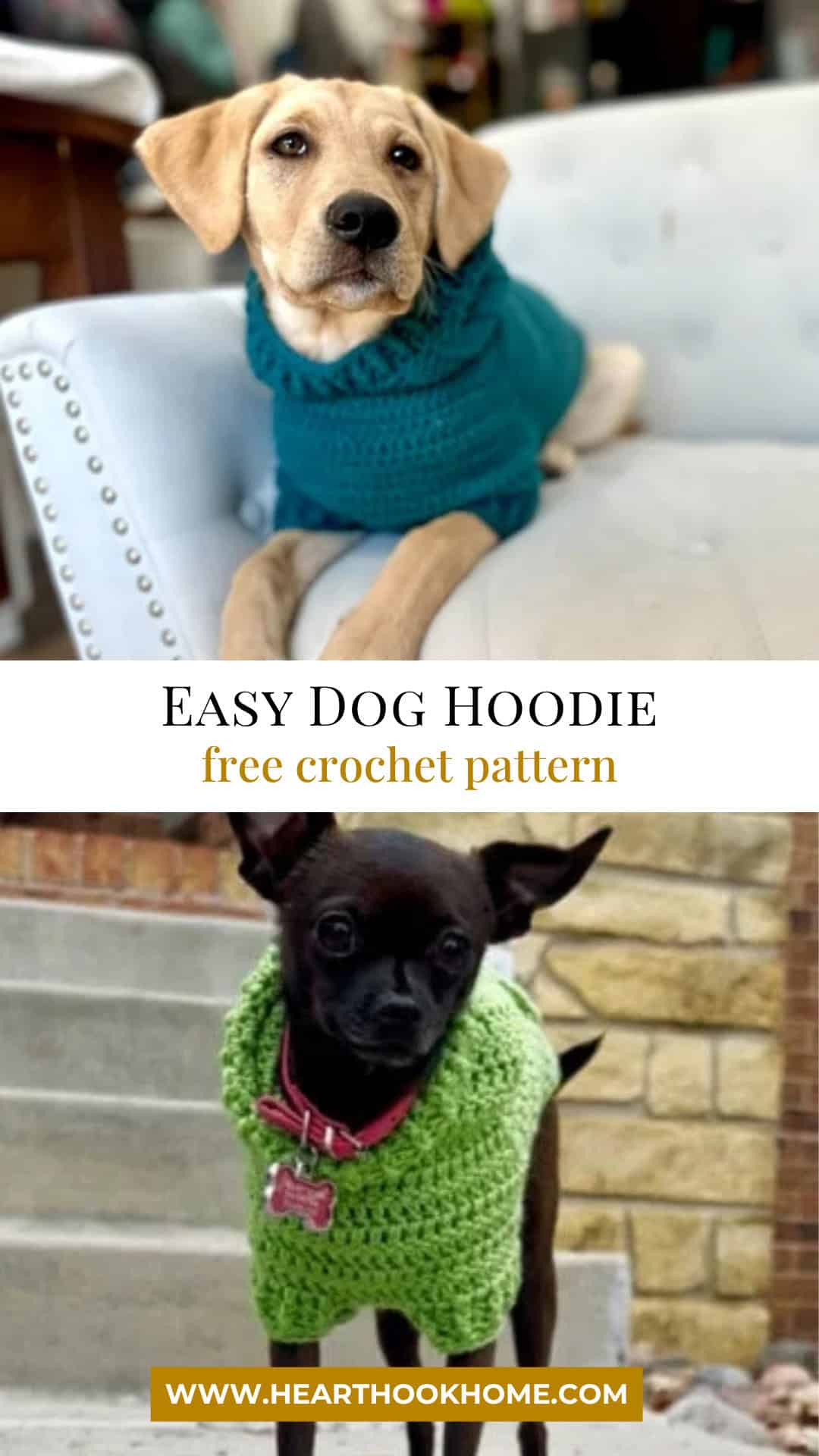 Easy Dog Hoodie Crochet Pattern - Heart Hook Home