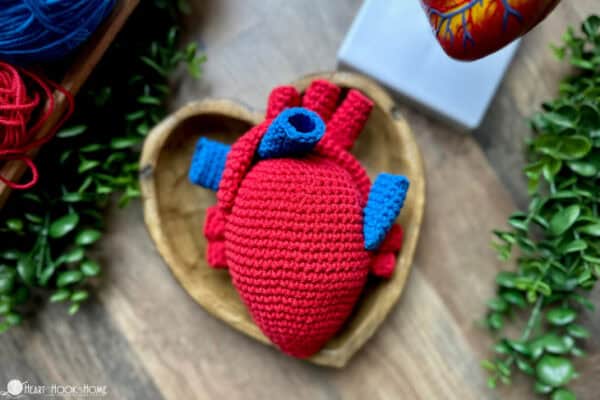 How to Crochet an Anatomical Heart - Heart Hook Home