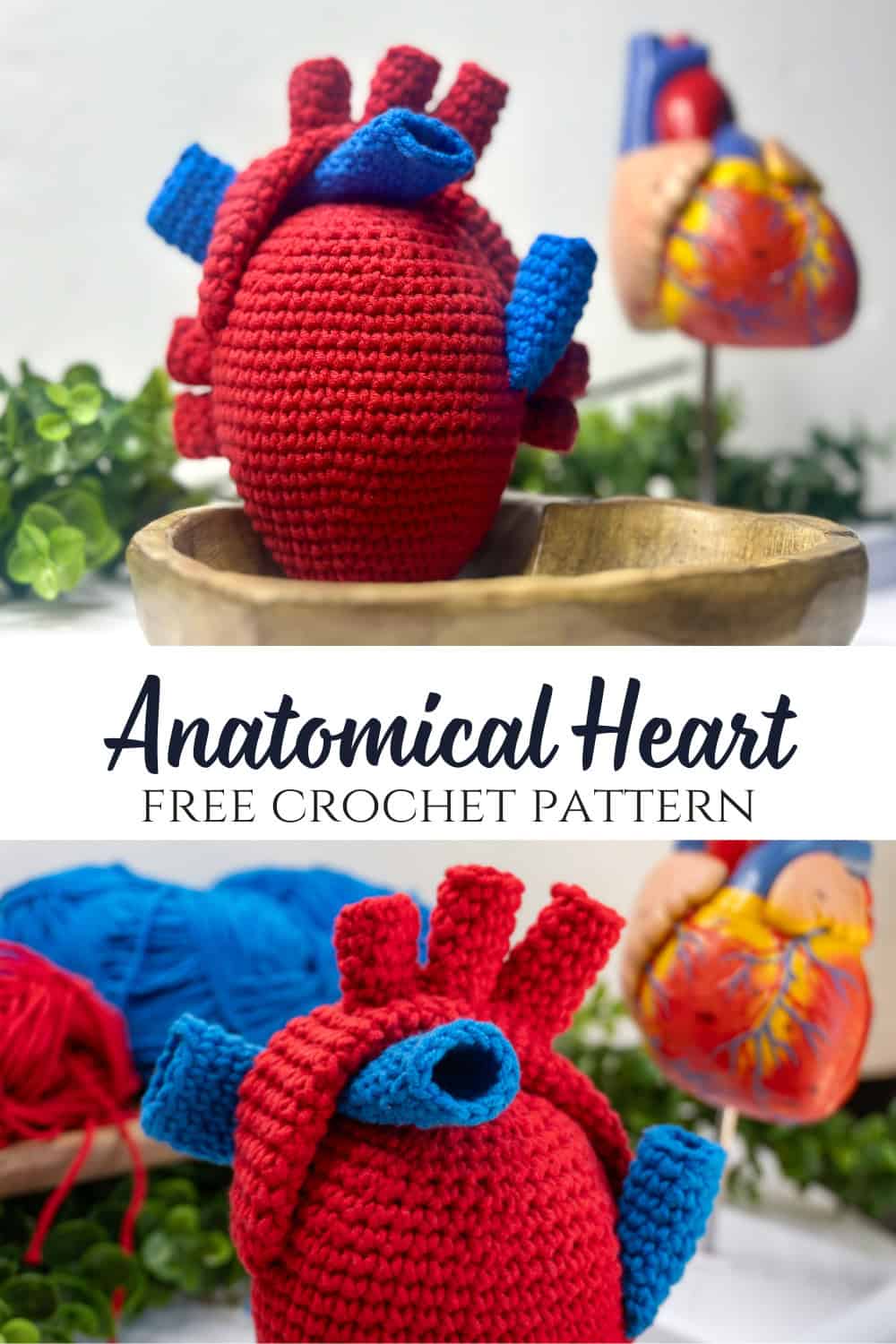 How to Crochet an Anatomical Heart - Heart Hook Home